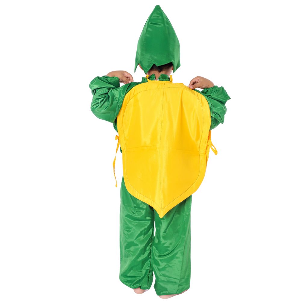 Papaya Fancy Dress Costume for Kids – Unisex Fruit Theme Jumpsuit