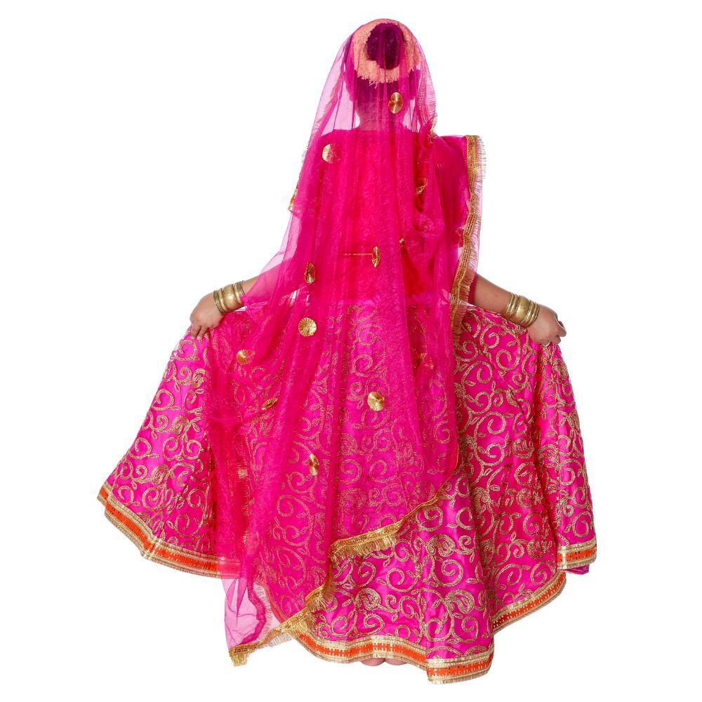 Rani Sita Fancy Dress Costume